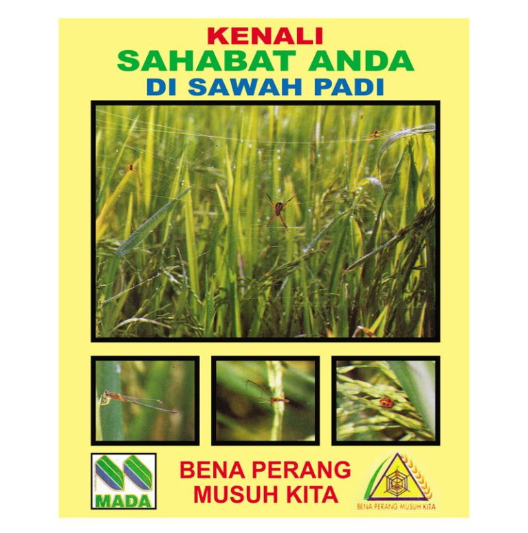 KENALI SAHABAT ANDA DI SAWAH PADI - BENA PERANG MUSUH KITA - INFO ...