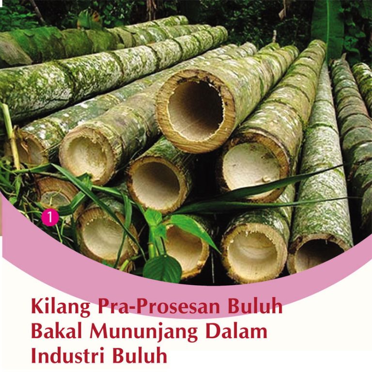 Kilang Pra-Prosesan Buluh Bakal Mununjang Dalam Industri Buluh - INFO ...