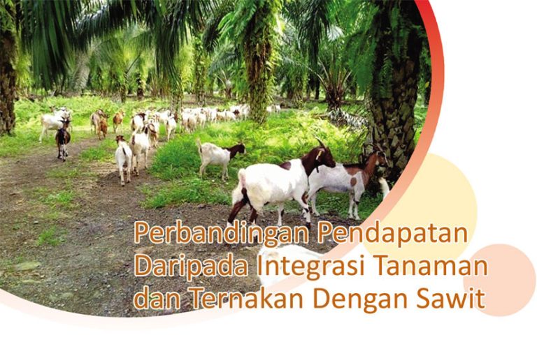 Perbandingan Pendapatan Daripada Integrasi Tanaman dan Ternakan Dengan ...