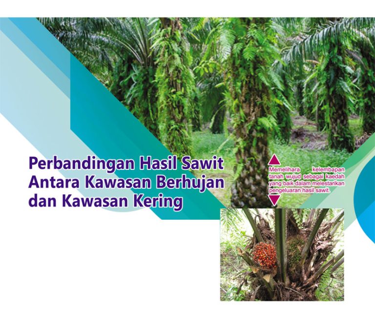 Perbandingan Hasil Sawit Antara Kawasan Berhujan dan Kawasan Kering ...