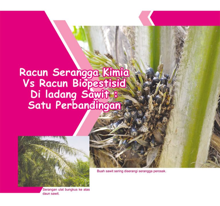 Racun Serangga Kimia Vs Racun Biopestisid Di ladang Sawit : Satu ...