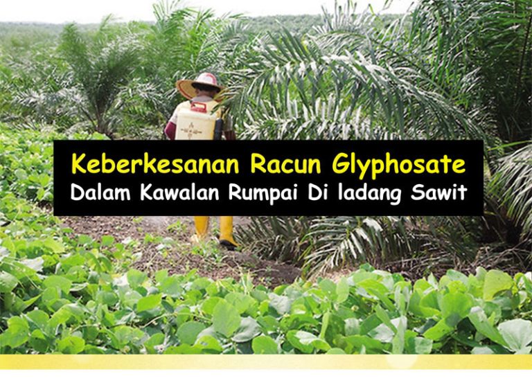 Keberkesanan Racun Glyphosate Dalam Kawalan Rumpai Di ladang Sawit ...