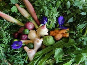 5 Jenis Herba Ini Ada Banyak Manfaat Kesihatan, Paling 'Top' Sekarang ...