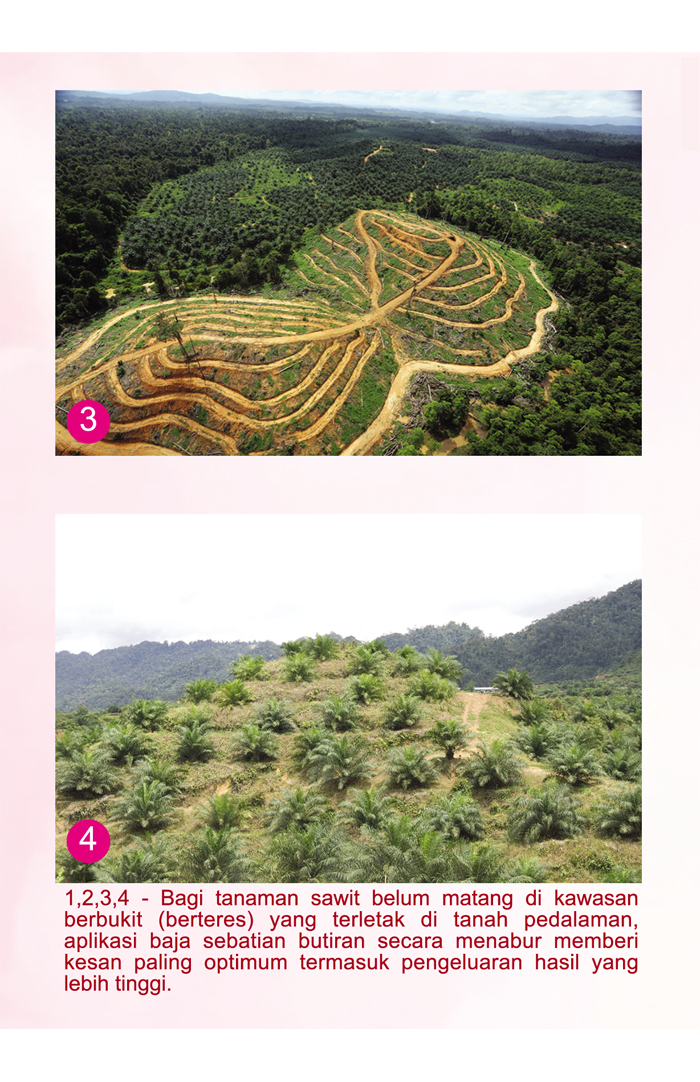 Aplikasi Baja Sebatian Butiran Secara Menabur Memberi Kesan Terbaik ...