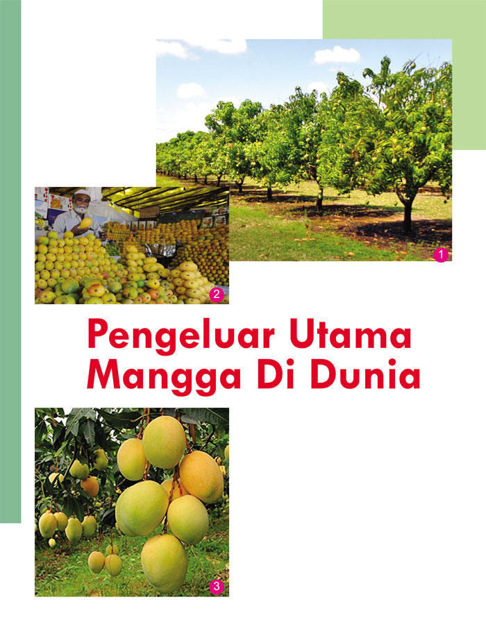 Pengeluar Utama Mangga Di Dunia - INFO PERTANIAN online