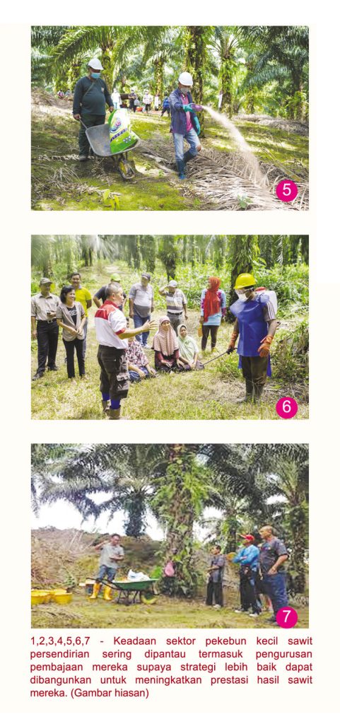 Tahap Pengetahuan Mengenai Pengurusan Pembajaan Pekebun Kecil Sawit ...