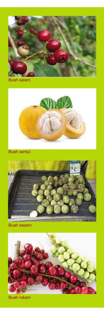 Peninjauan Buah-Buahan Nadir Di Malaysia (Bahagian 1/2) - INFO ...