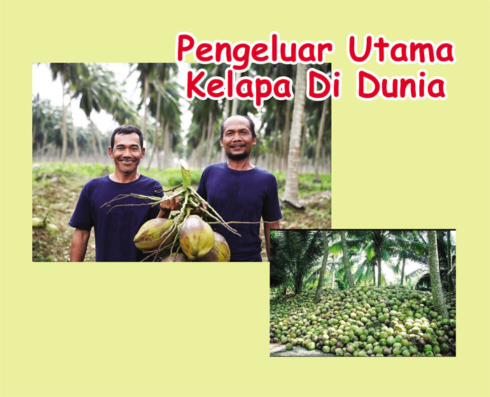 Pengeluar Utama Kelapa Di Dunia - INFO PERTANIAN online