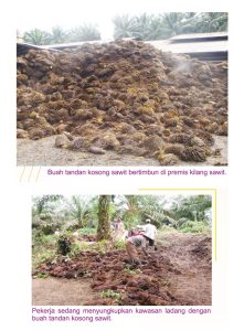 Buah Tandan Kosong Sawit Menyuburkan Tanah Dan Memanfaatkan Tanaman ...