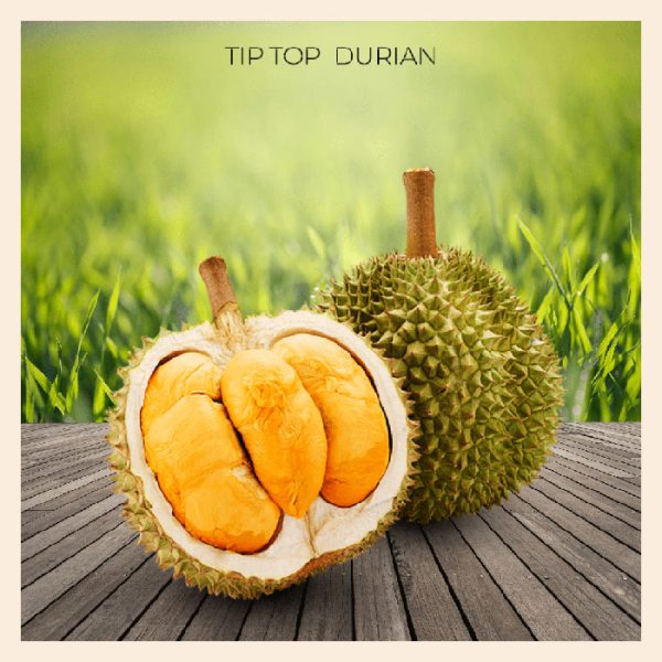 Kenapa Status Dan Harga Durian Black Thorn Di Pasaran Lebih Tinggi ...