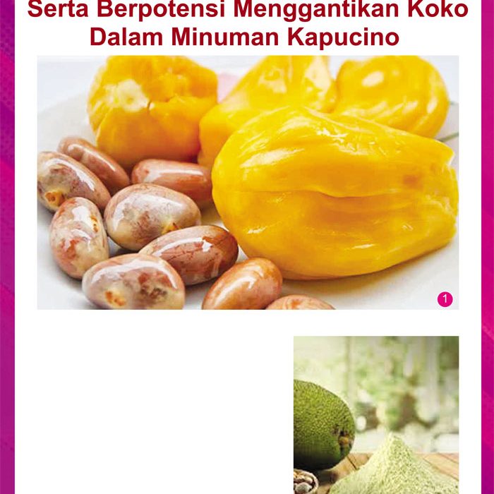 Menanam Koko Secara Saintifik - INFO PERTANIAN online